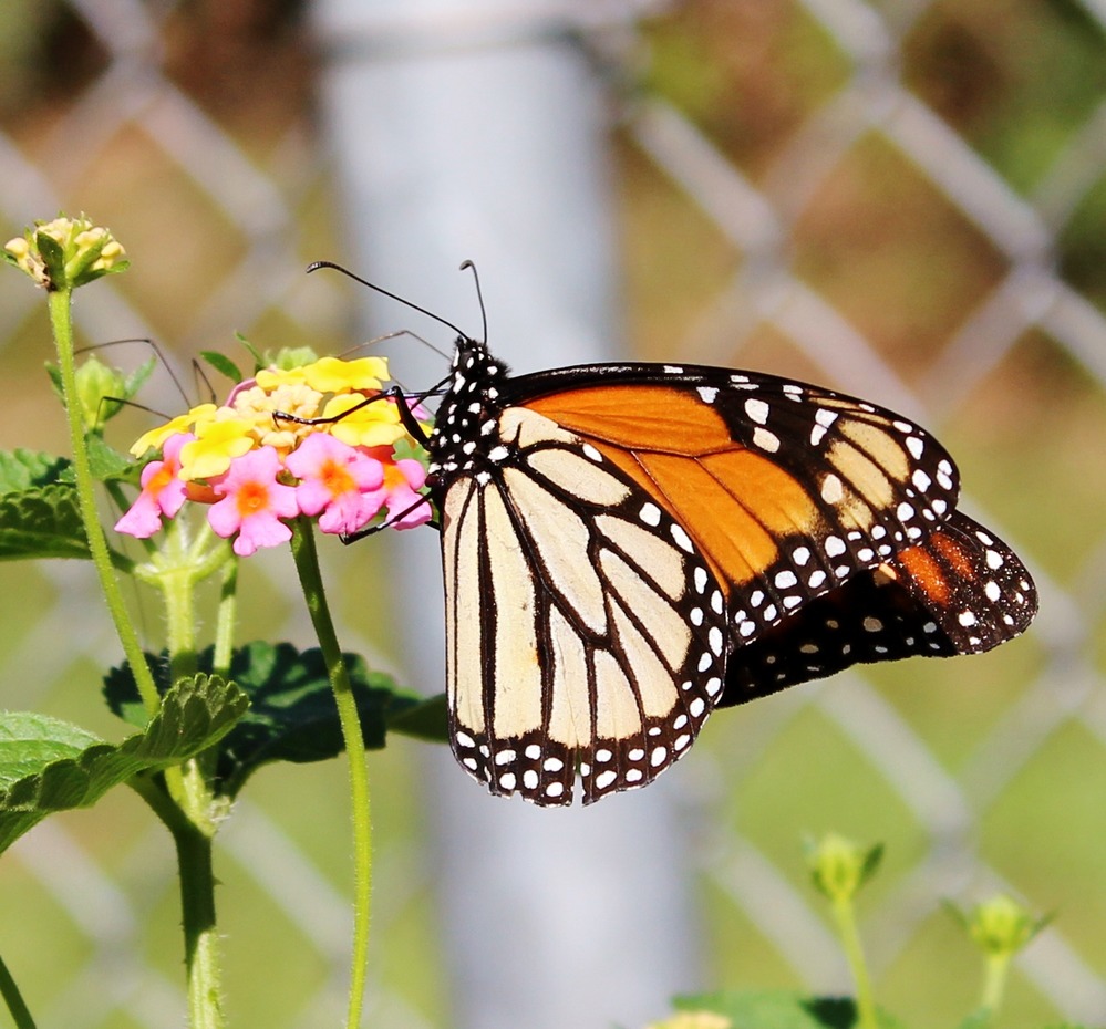 Transformation: A Change of Heart - TeachBeyond