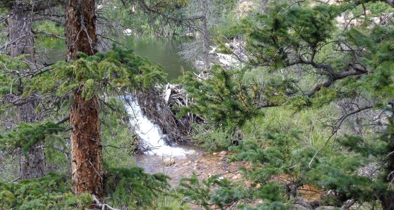 Cascading Impact: Moving from Doing to Being - TeachBeyond