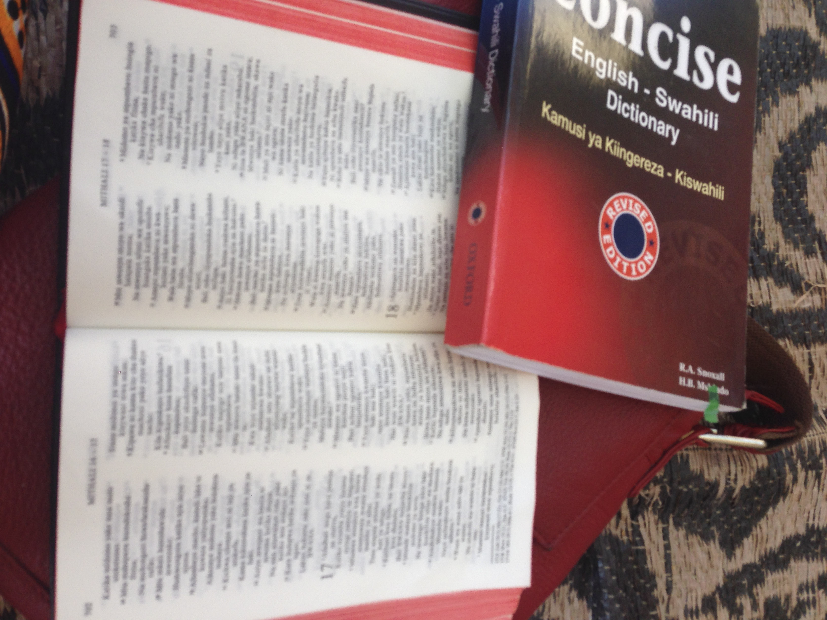 Father to the Fatherless - TeachBeyond