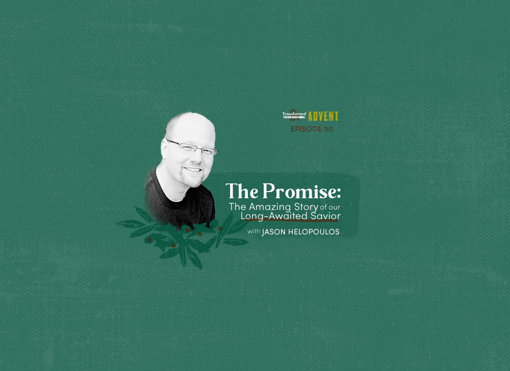 90: The Promise: The Amazing Story of Our Long-Awaited Savior (Advent ...