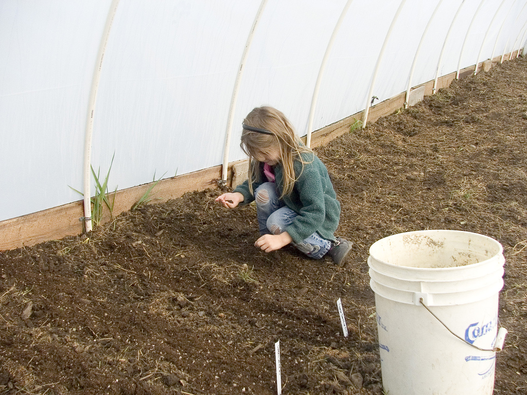 Sowing the Seeds for Transformation - TeachBeyond