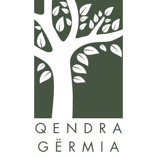 Prishtina Community Center Opportunities - TeachBeyond